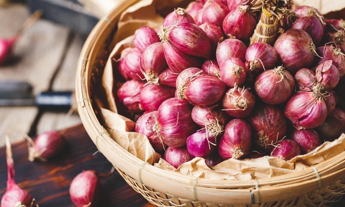 20% Drop in Onion Prices as India Resumes Exports After 3-Month Ban
