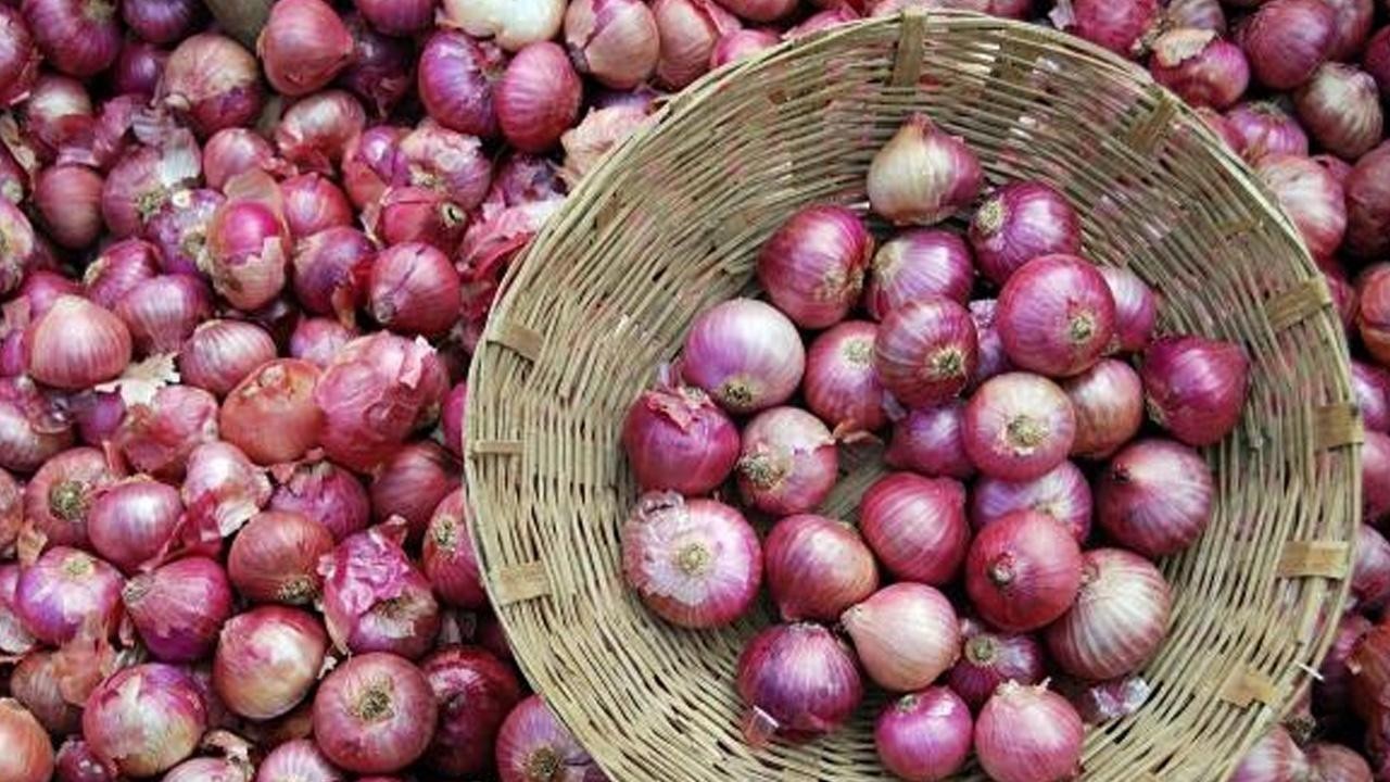 Global Travel Boom: $11.1 Trillion Boost to Economy Expected